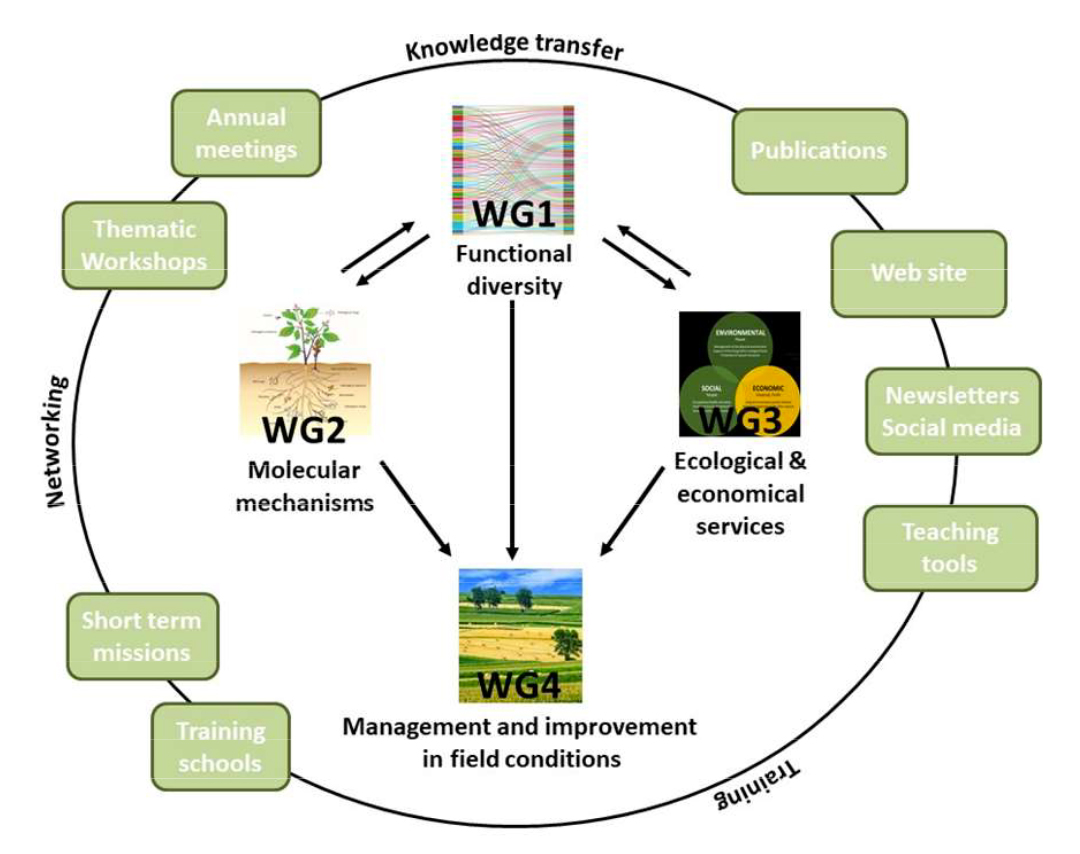 Working Groups – Root-Benefit